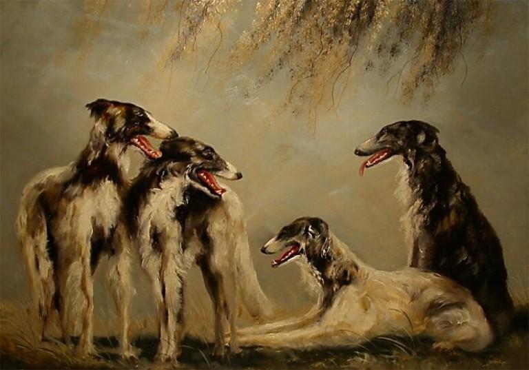 Le barzoï : fiche descriptive et caractéristiques de ce grand chien...